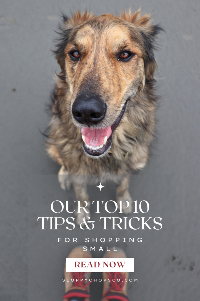 How to Choose the Right Hardware for your Dog - Part One | Sloppy Chops Co.