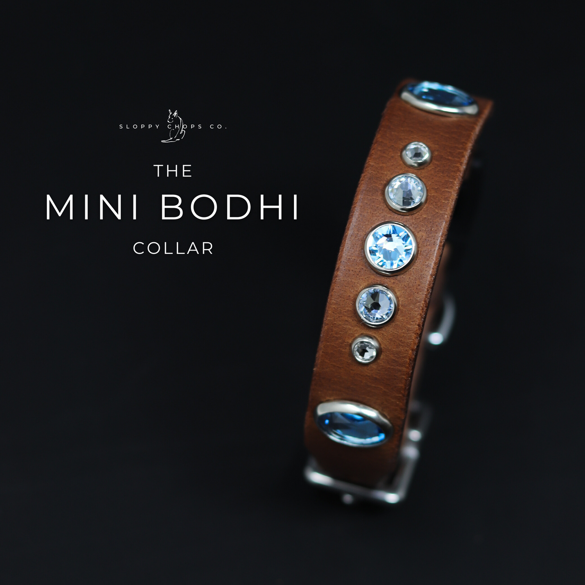 The 'Mini Bodhi' Leather Collar (3/4" panel) | Sloppy Chops Co.