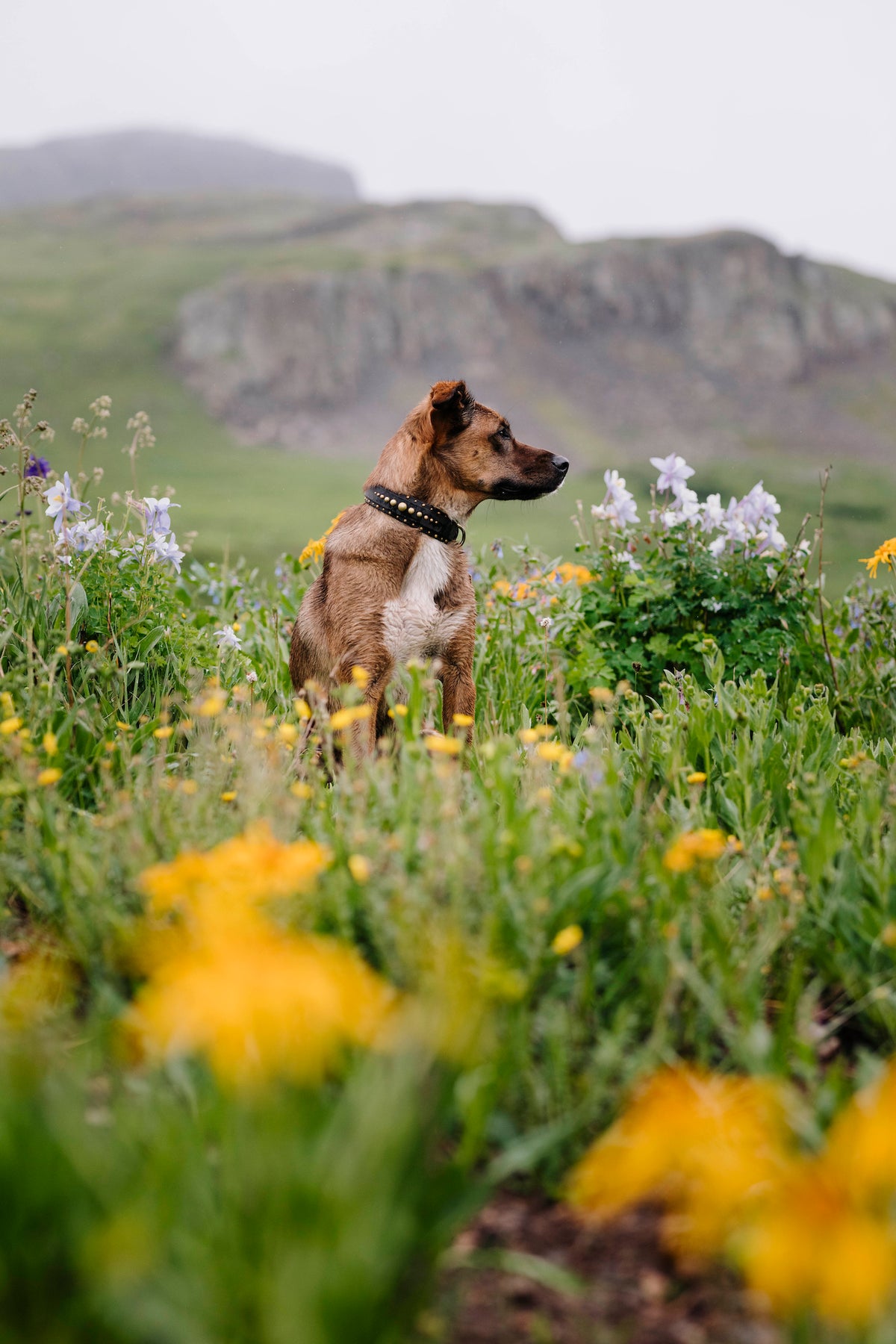 Sloppy Chops Co. Key Fob | Sloppy Chops Co.
