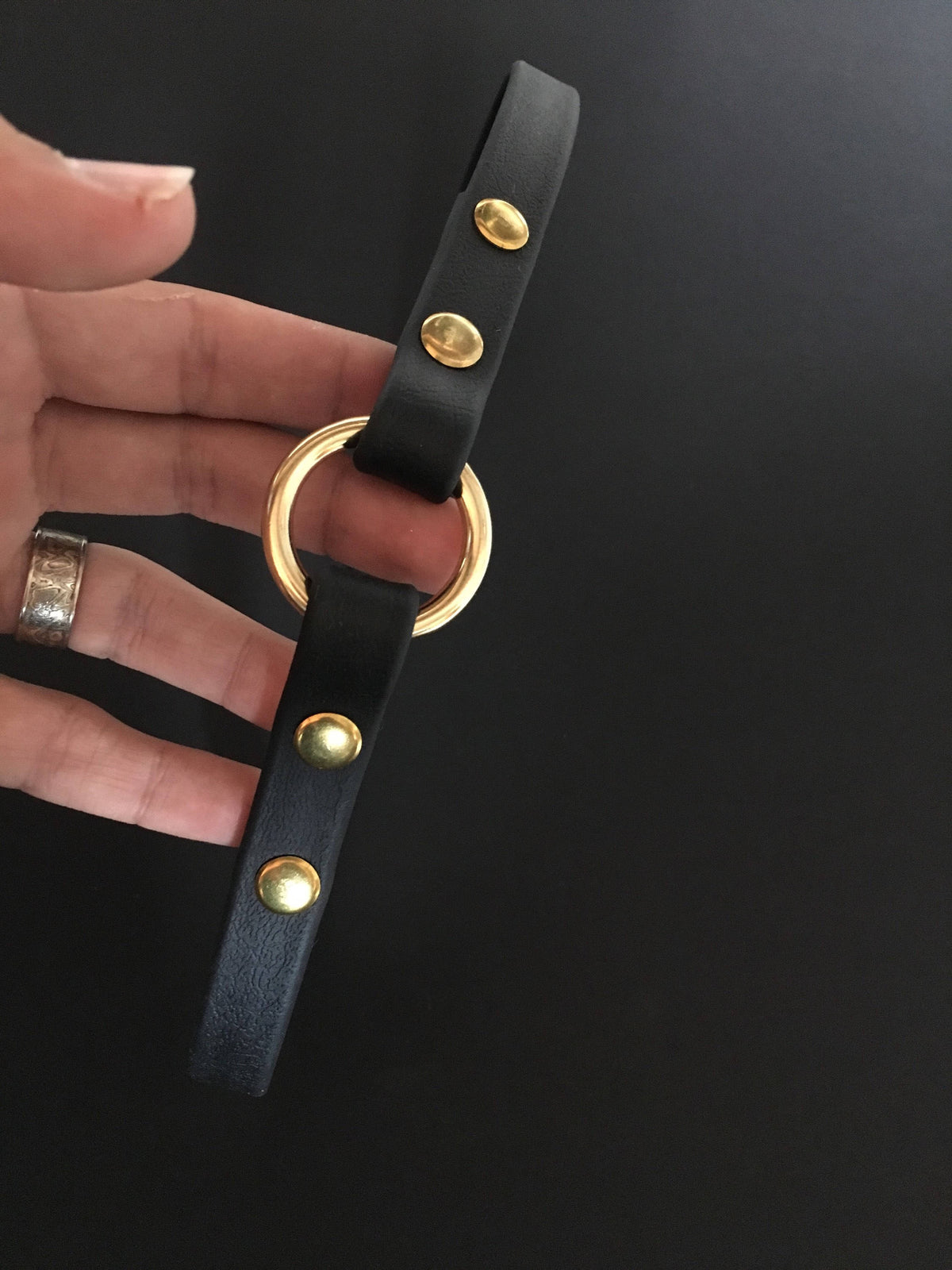 House Collar, BioThane | Sloppy Chops Co.